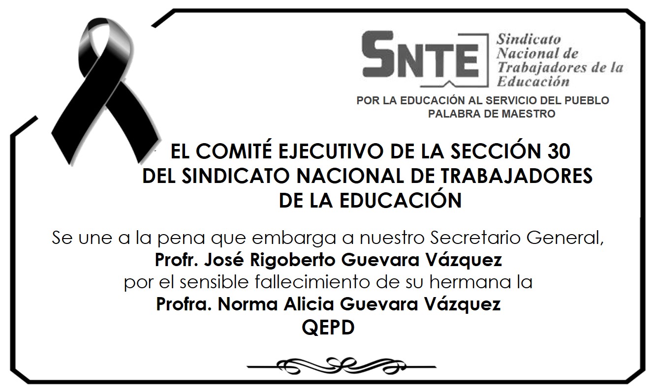 La abreviatura correcta de profesora: ¿profa o profra? Descubre la ...