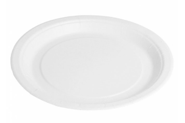 Consigue creatividad y diversión: Cómo hacer un plato de cartón en 5 ...